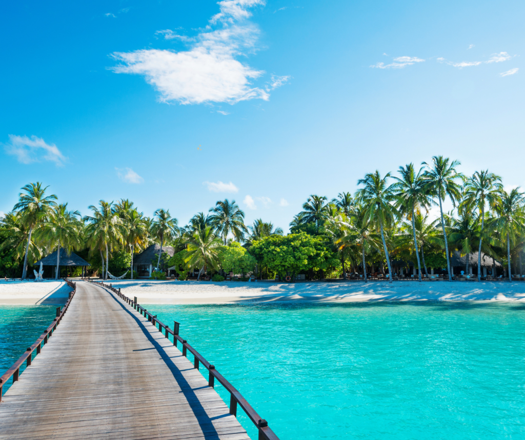 Fun Facts About the Maldives: Surprising Things You Didn’t Know | Go Ocean