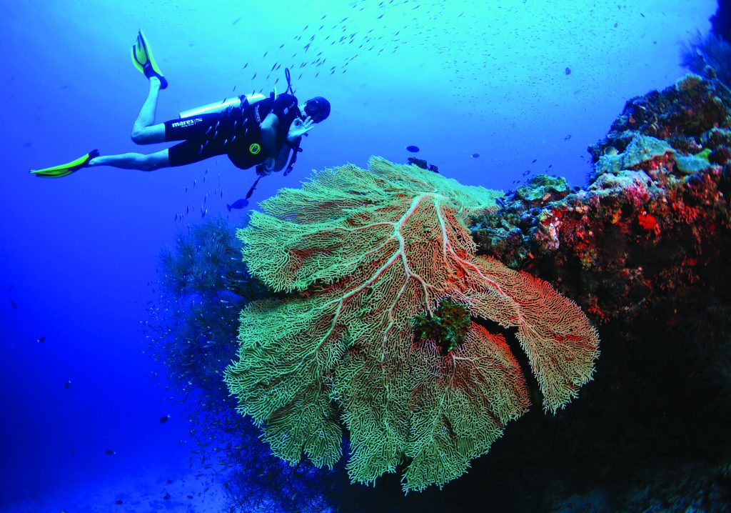 Maldives PADI Scuba Diving: An Underwater Paradise | Go Ocean